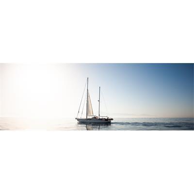 The Sharp Perspective - Gold sails into uncharted waters